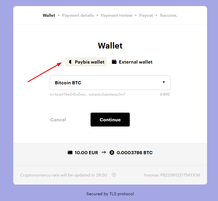 How to purchase cryptocurrency directly to my Paybis wallet – Paybis